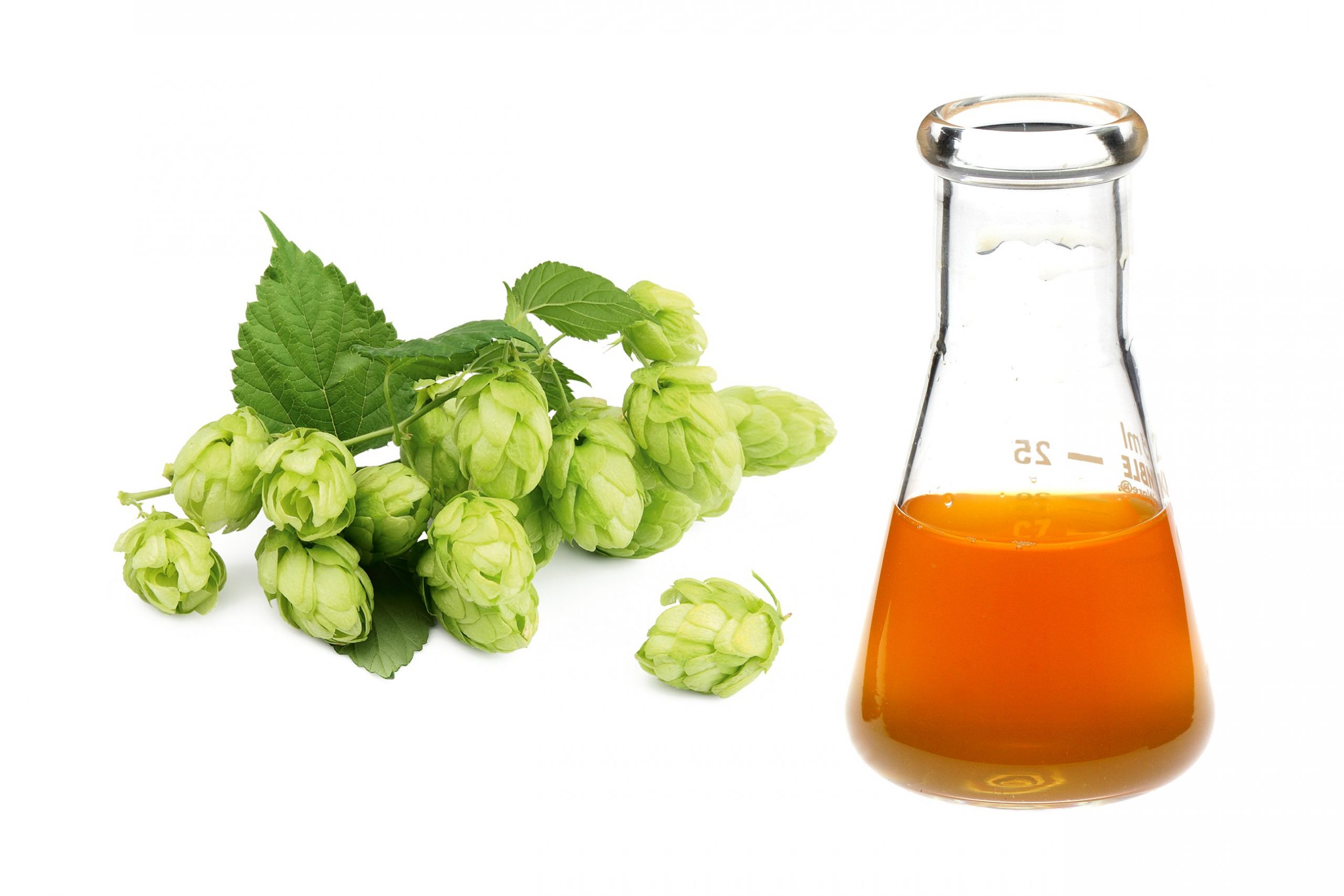 Articolo Journal Food Scienze - LOB.IT